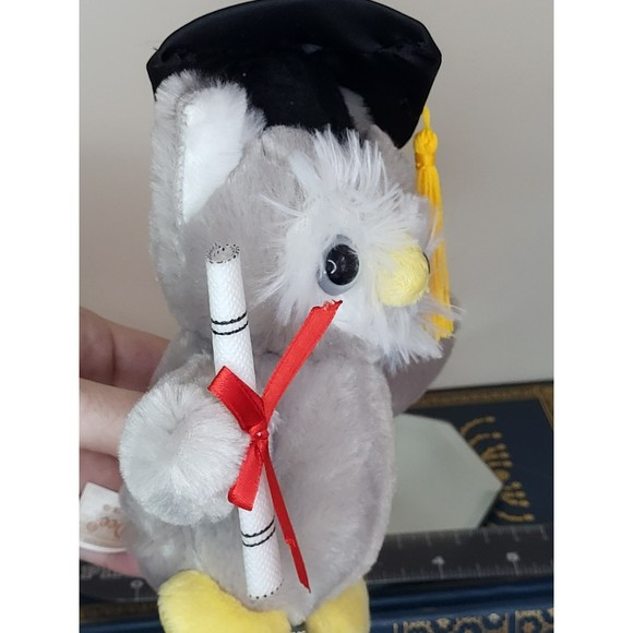dandee | Toys | Graduating Owl Plush 7 Dandee Bird Graduation Cap With ...